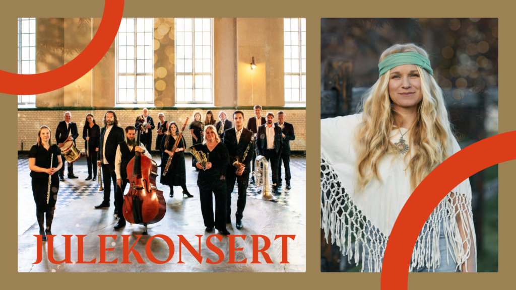 Julekonsert med Sol Heilo - DNBE